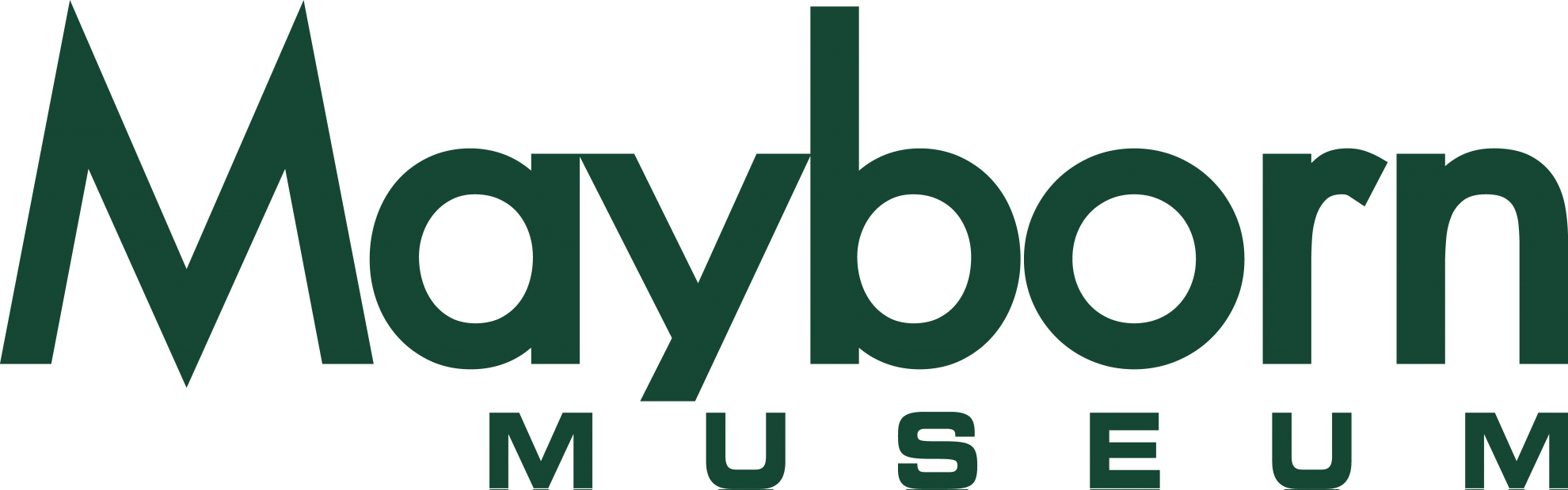 Big Ideas & Goals – Mayborn Museum Strategic Plan